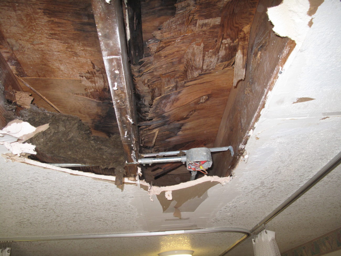 Roof Deterioration - Nelson Forensics