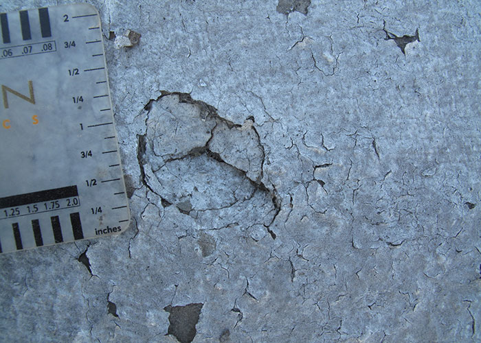 Roof Deterioration - Nelson Forensics