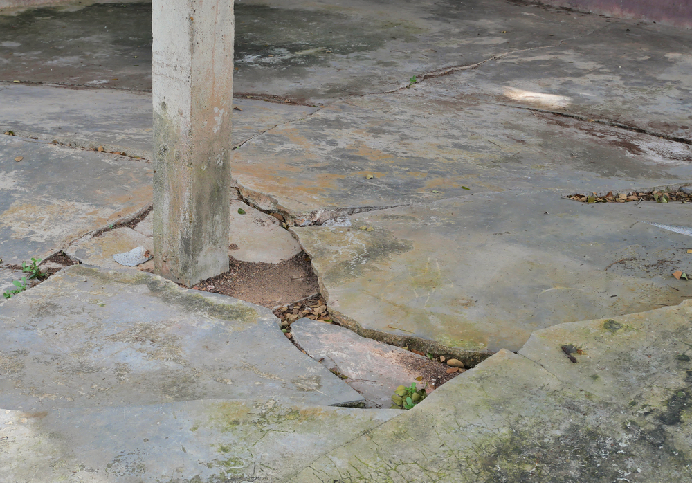 Basement Water Intrusion - Nelson Forensics