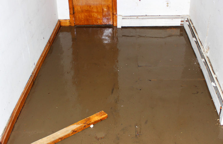 Basement Water Intrusion - Nelson Forensics