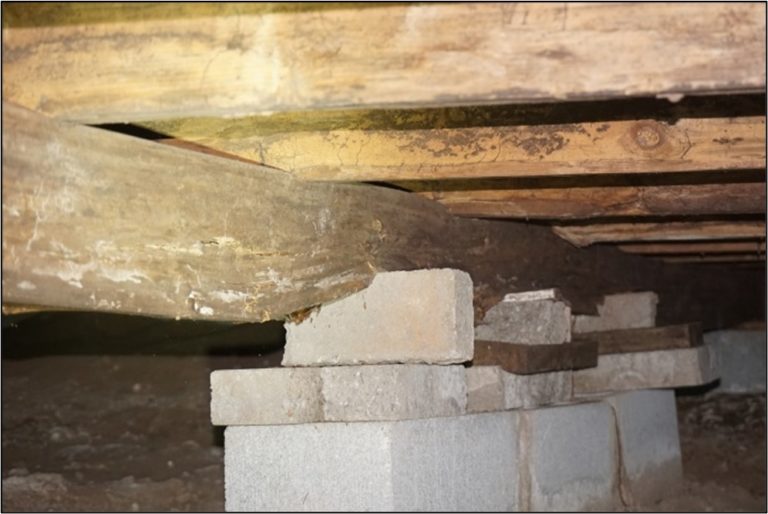 Wood Decay - Nelson Forensics