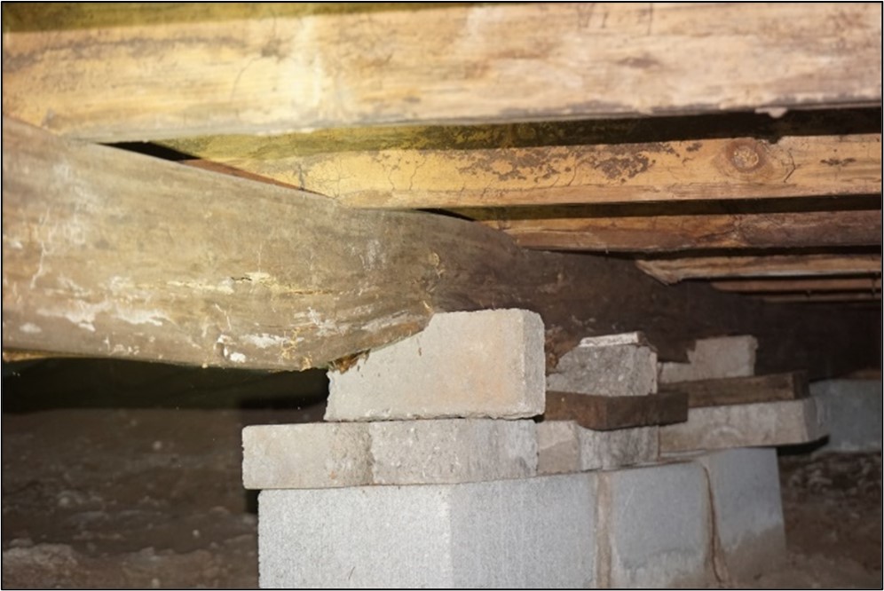 Wood Decay - Nelson Forensics