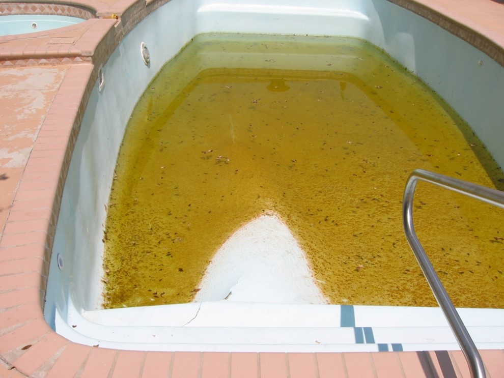 Swimming Pool Failures - Nelson Forensics