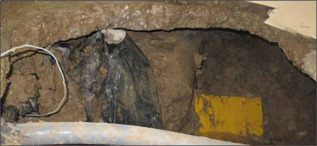 Fire Riser Failures - Nelson Forensics