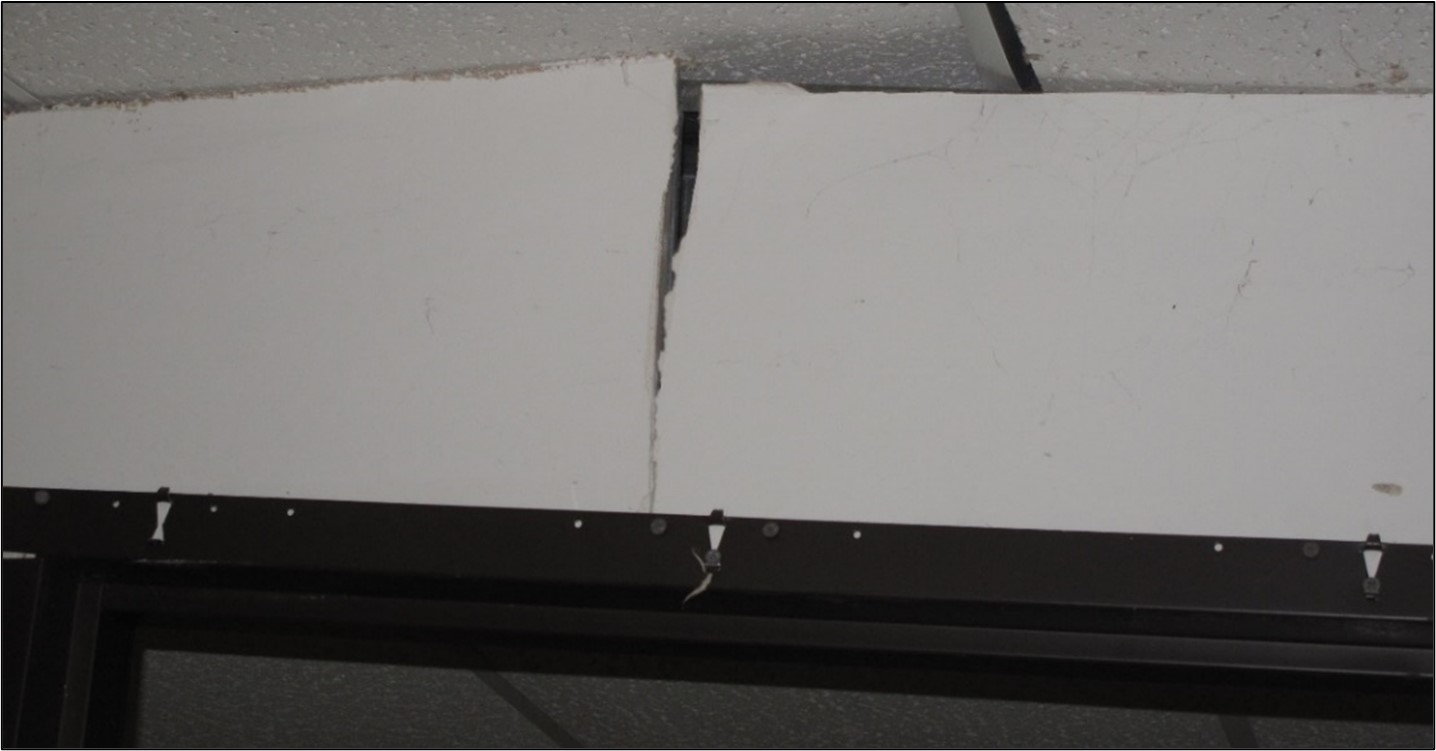 Fire Riser Failures - Nelson Forensics