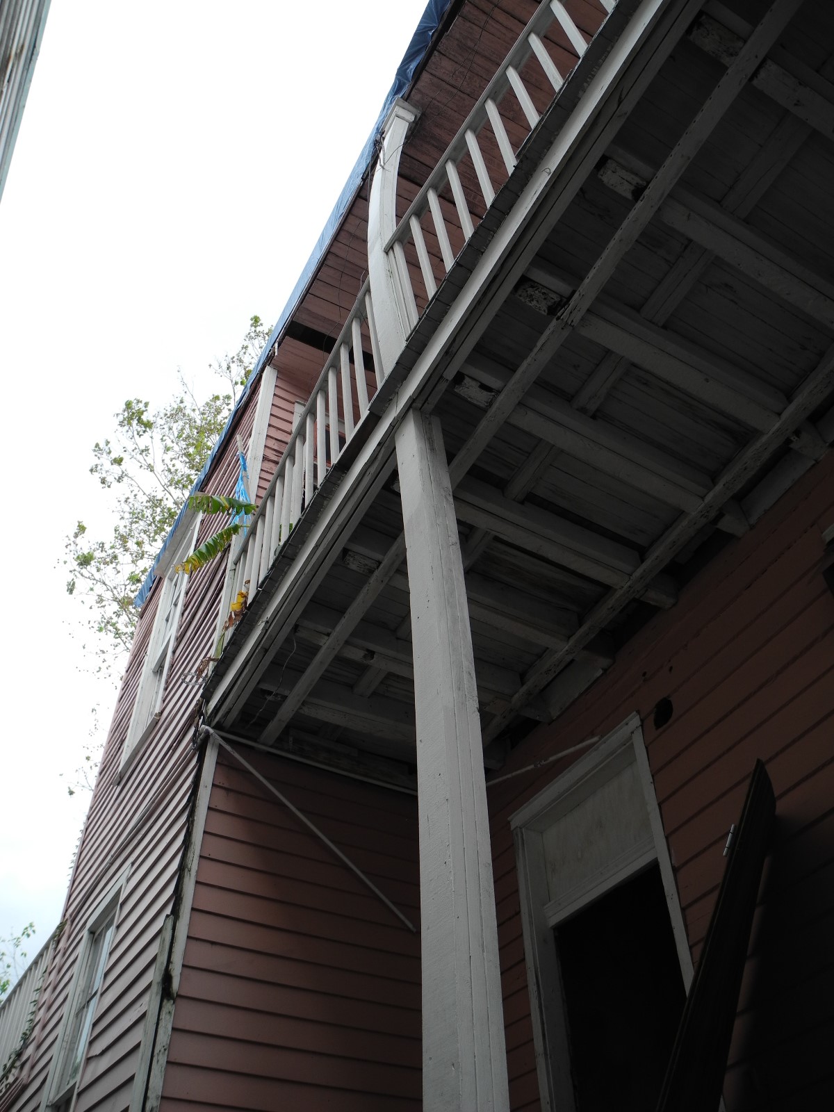 Happy Halloween! - Nelson Forensics