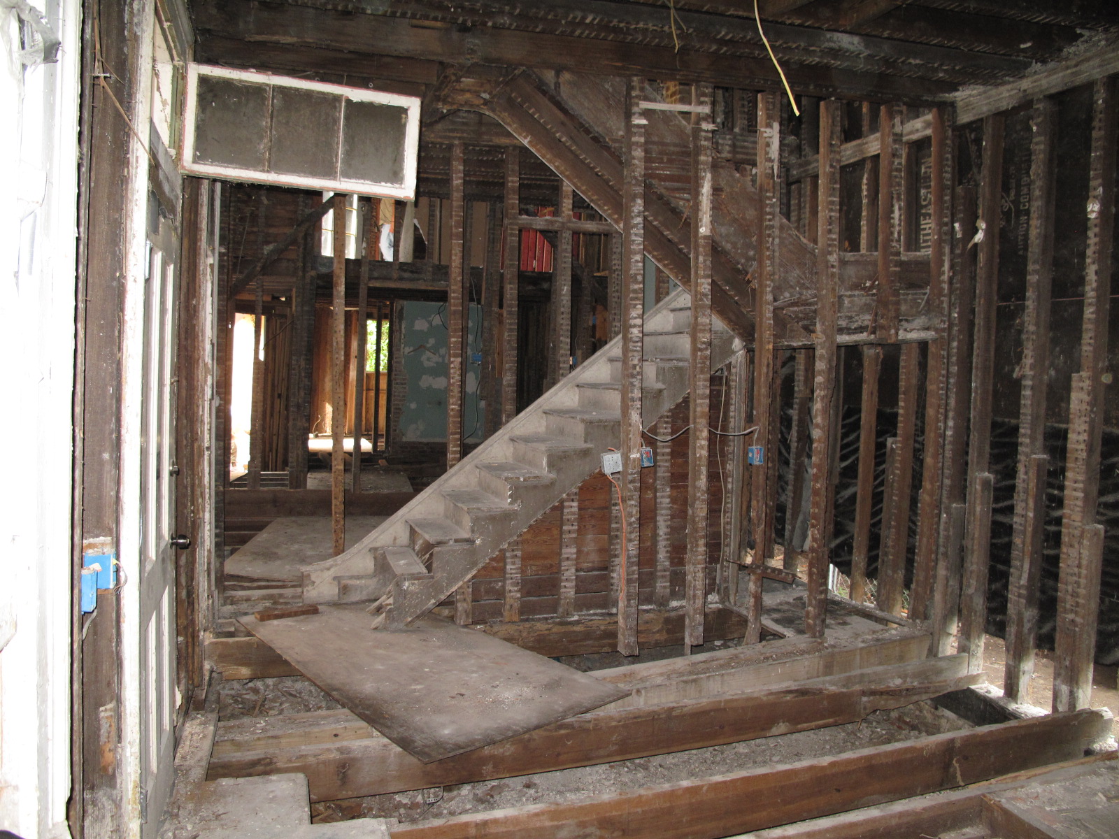 Happy Halloween! - Nelson Forensics