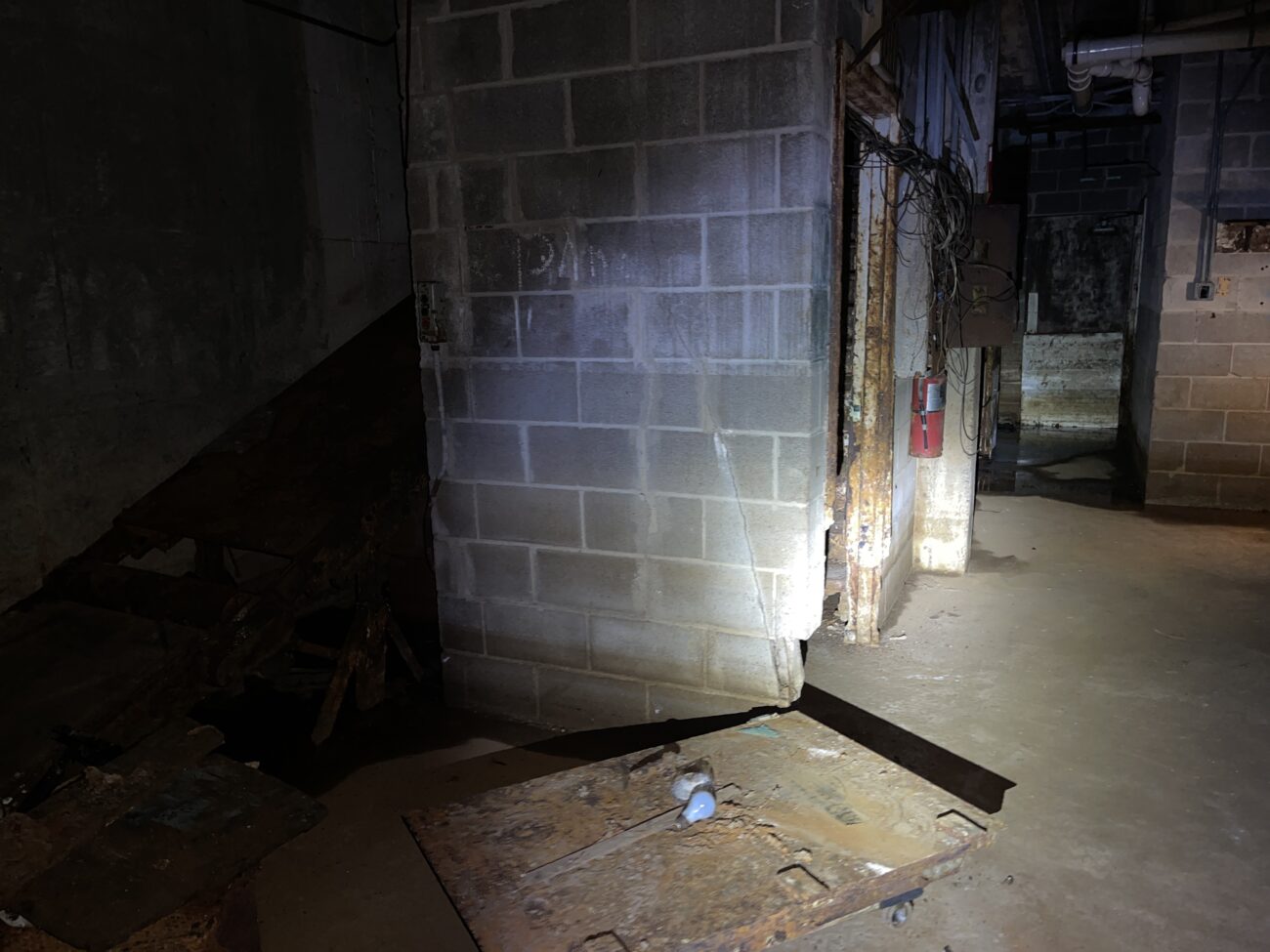 Happy Halloween! - Nelson Forensics