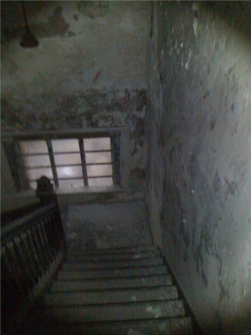 Happy Halloween! - Nelson Forensics