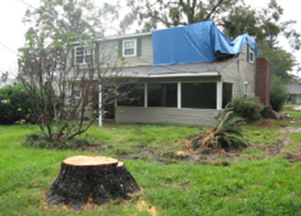 Tree Impact Damage During Hurricanes - Nelson Forensics