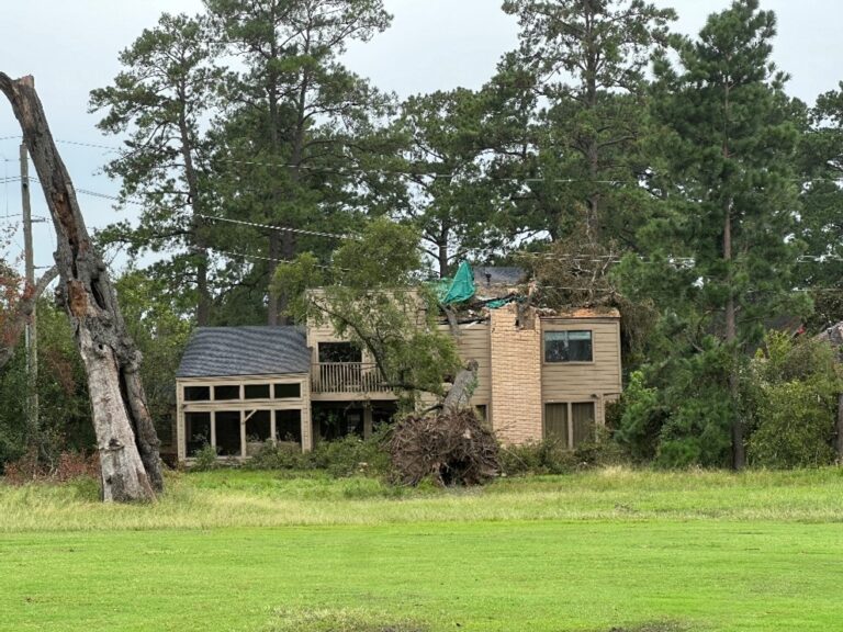 Tree Impact Damage During Hurricanes - Nelson Forensics