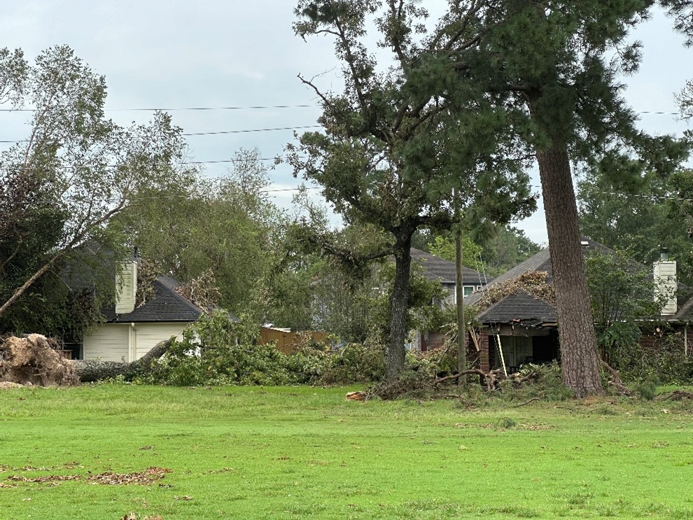 Tree Impact Damage During Hurricanes - Nelson Forensics