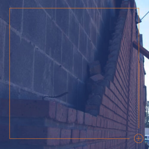 News and Events - Nelson Forensics